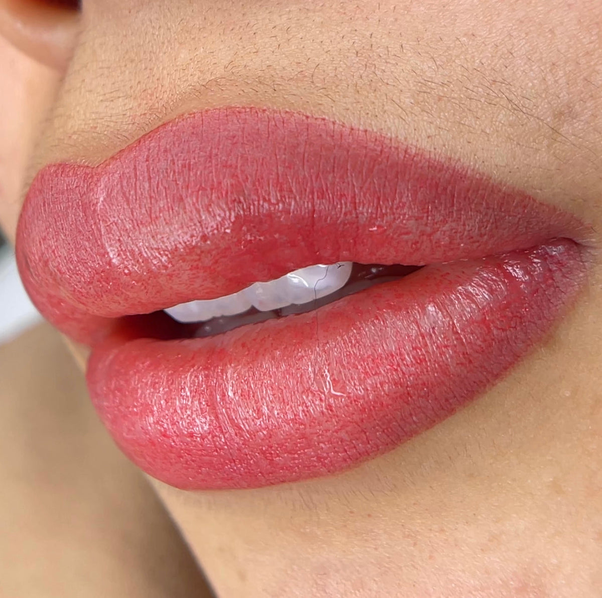 Lip Blush Touch Up – Micro Beauty Bar